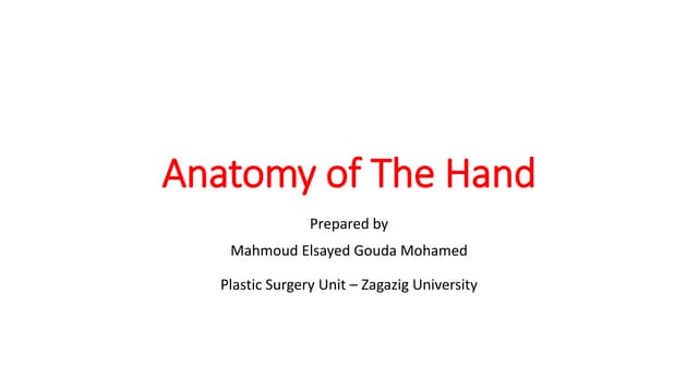 The flexor mechanism of the hand refers to the complex system of ...