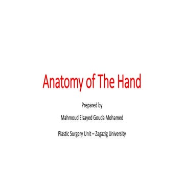 Hand anatomy 2 | PDF