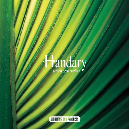Handary customer brochure | PDF