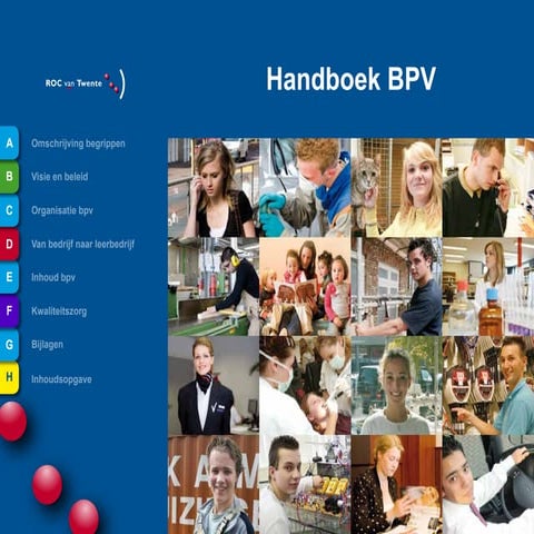 Handboek BPV | PDF