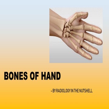 HAND BONES.pptx