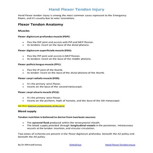 Hand Flexor tendon injury.pdf