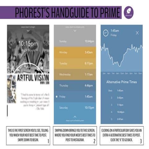 Phorest's Handguide To Prime | PDF | Computer Software and Applications ...