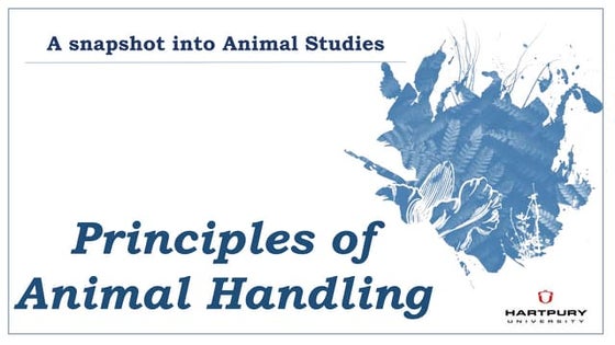 Animal handling 03 | DOCX | Veterinary Medicine | Pets