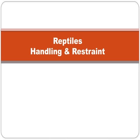 Handling and restraint of reptiles ppt.pptx