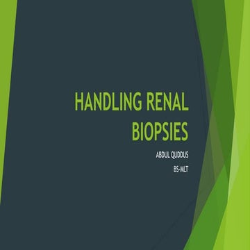 Renal biopsy | PDF