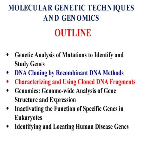 H A N D O U T B I U1102 22 12 09 | PPT