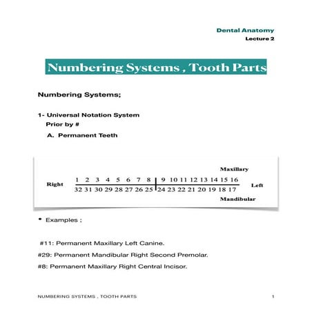 Handout, Lecture 2.pdf