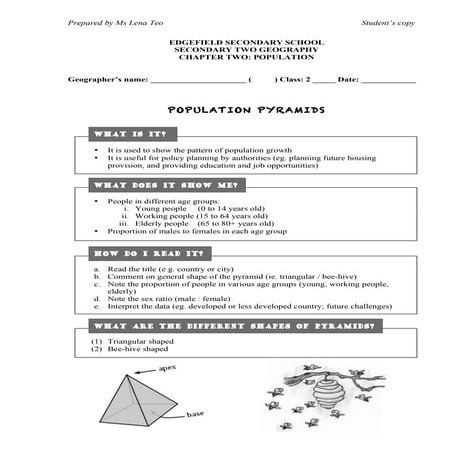 S2 GE Handout 1 - Population Pyramid (Student) | PDF