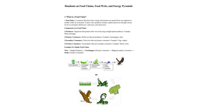 Energy pyramid lesson | PPT