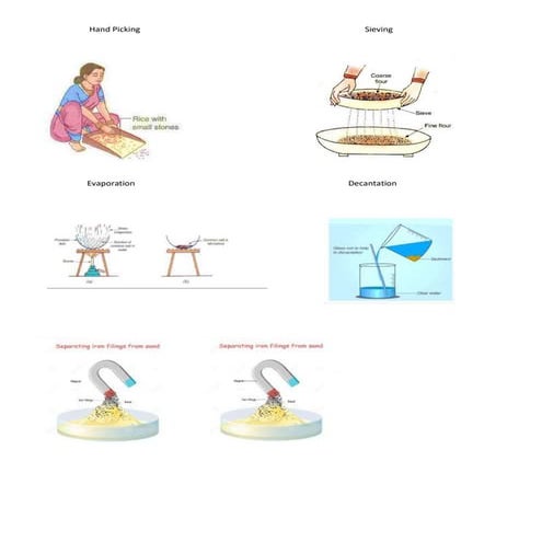 Hand Picking Sieving.docx
