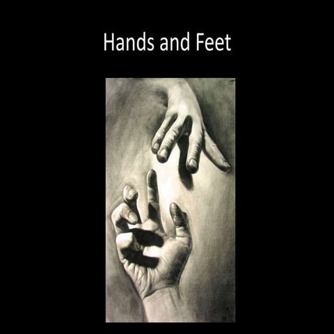 Hands and Feet | PPT