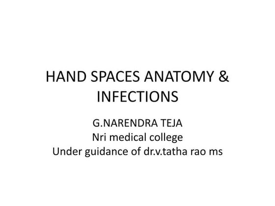 Spaces of Hand and Forearm | PPTX