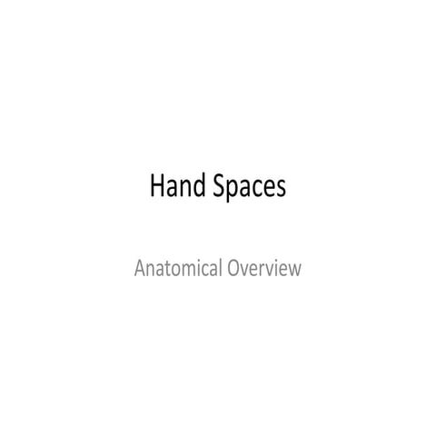 Spaces of Hand and Forearm | PPTX