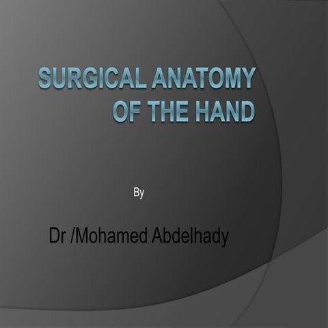 Detailed Hand surgical anatomy by mohamed abdelhady | PPTX