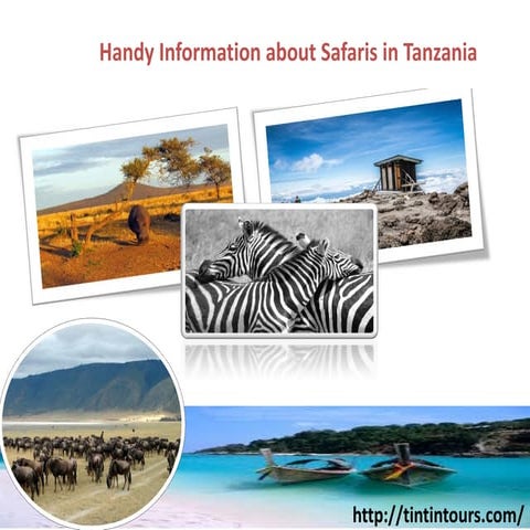 Handy information about safaris in tanzania | PDF