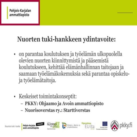 Hanke esittely | PPT