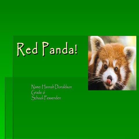 Hannah donaldson red panda! | PPT