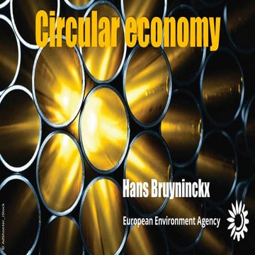 Hans Bruyninckx World Circular Economy Forum 2017 Helsinki Finland | PPTX