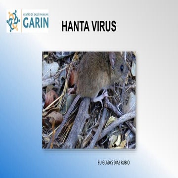 Hanta virus | PPTX