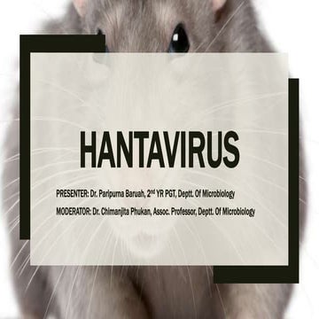 Hantavirus | PPTX