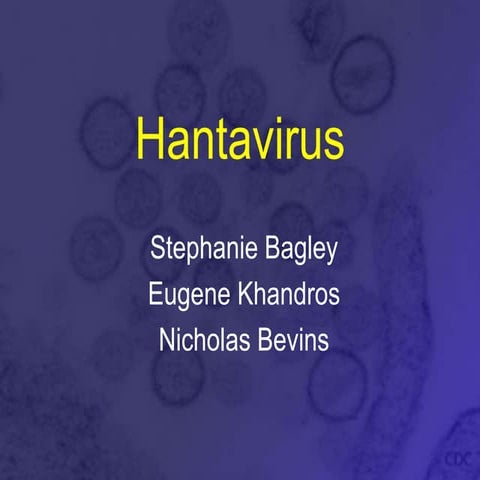 Hantavirus.ppt