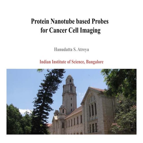 Protein Nanotube based Probes for Cancer Cell Imaging | PDF
