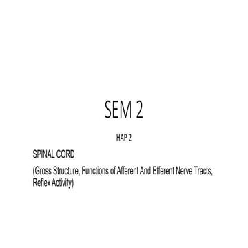 HAP 3 semester 2 bpharmacy as per pci syllabus | PPTX