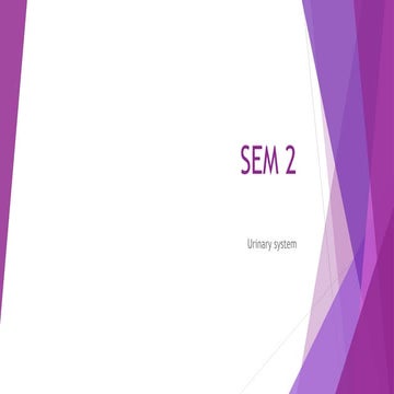 HAP 6 semester 2 bpharm pci syllabus BP201T | PPTX