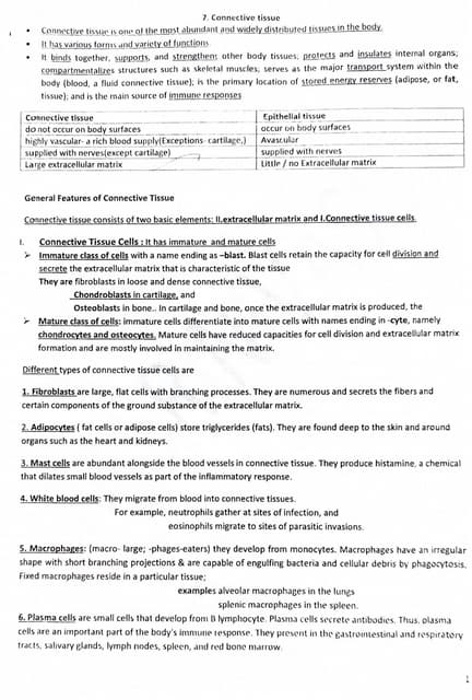 Types and Function of Connective Tissue | PPTX