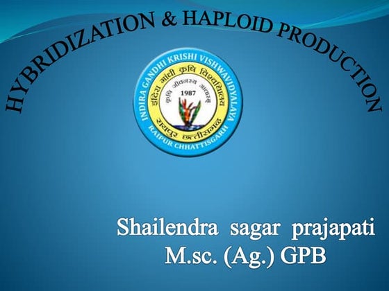Haploid Production - Techniques, Application & Problem | PPTX