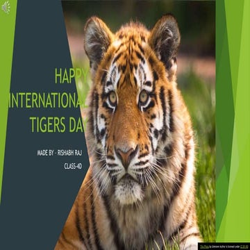 HAPPY INTERNATIONAL TIGERS DAY Best presentation prepared by Rishabh | PPTX