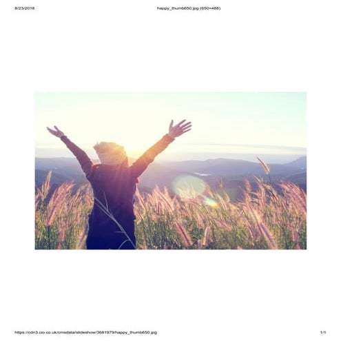 How to recover from a career setback | PDF