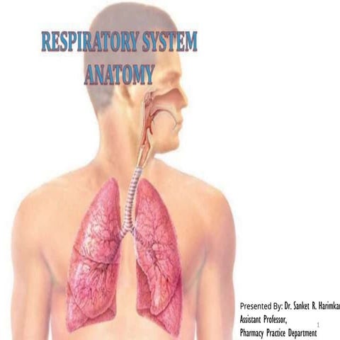 HAP Respiratory System Anatomy & Physiology 2025.pptx