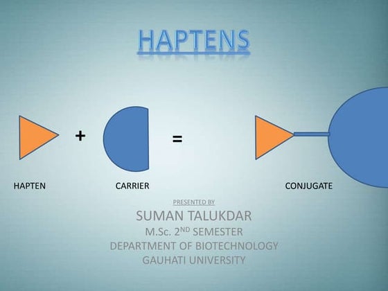 Haptens | PPTX