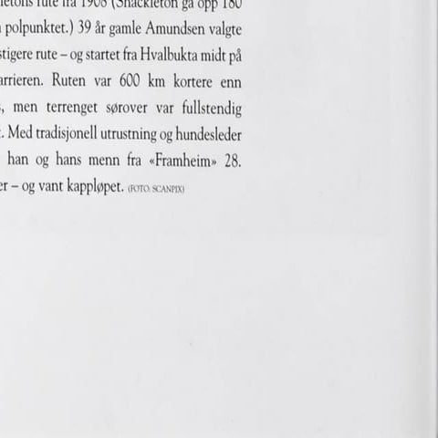 Norsk polarhelte billede set gennem fotografi og reproduktion | PPT