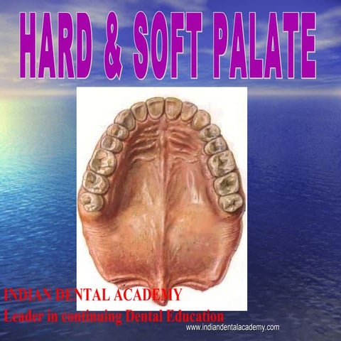 Hard and soft palate | PPTX