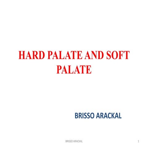 Hard and soft palate | PPTX