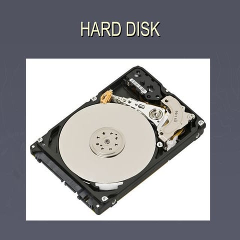 Hard disk David Ilic | PPT