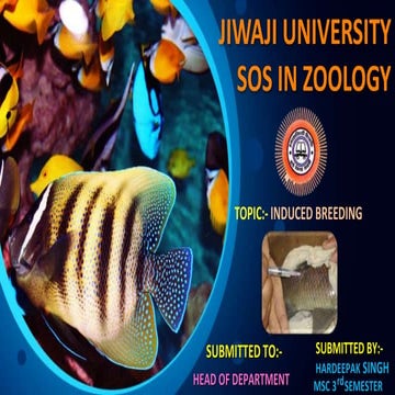 Induced breeding in fishes | PPTX