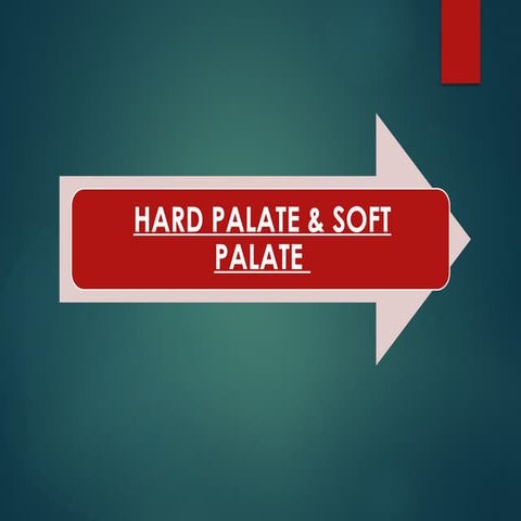 Anatomy of Soft palate | PPT