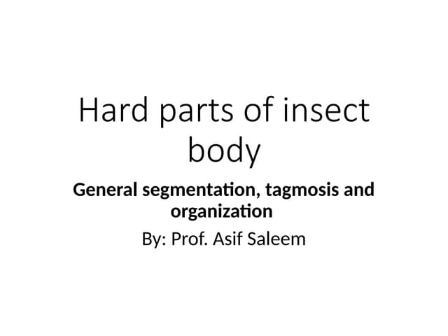 Insect thorax and abdomen | PPTX