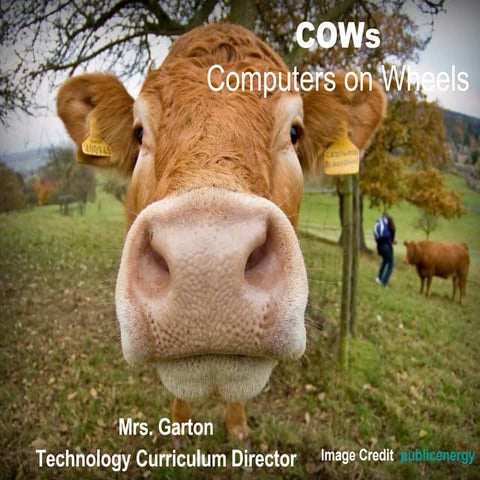 COWs: Lesson I | PPT