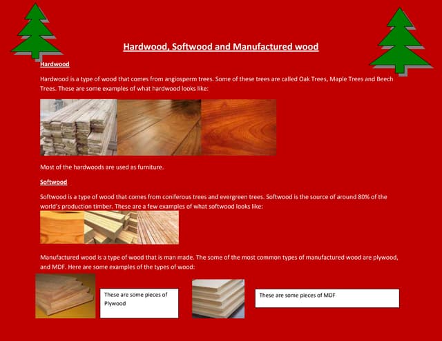 Softwood and Hardwood | PPTX