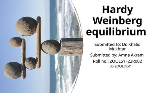 Hardy-Weinberg Equilibrium | PPT