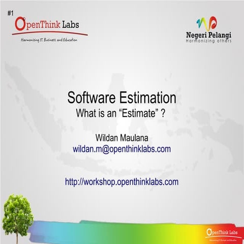 Estimates and Affinity Estimation | PDF