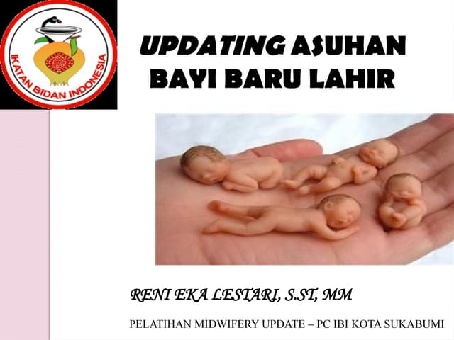 Bayi baru lahir normal | PPT