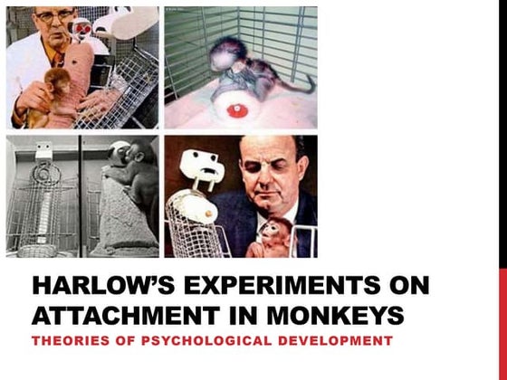 Harry harlow’s monkey theory | PPTX | Parenting Children Aged 4-11 ...