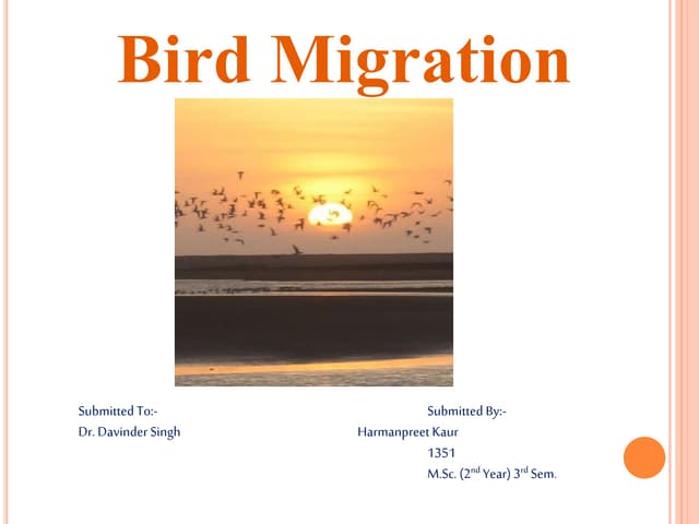 Migration in Birds | PPTX