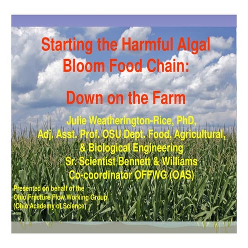 Harmful Algal Blooms - OH Clean Water Conference | PDF | Agriculture ...